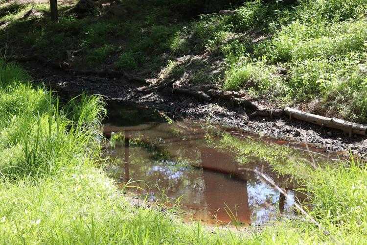 Kids connect with nature at first school field trip to JK Black Oak ...