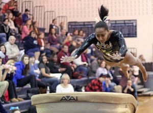 Arianna Robinson's perfect vault highlights Freedom's big day | Sports ...