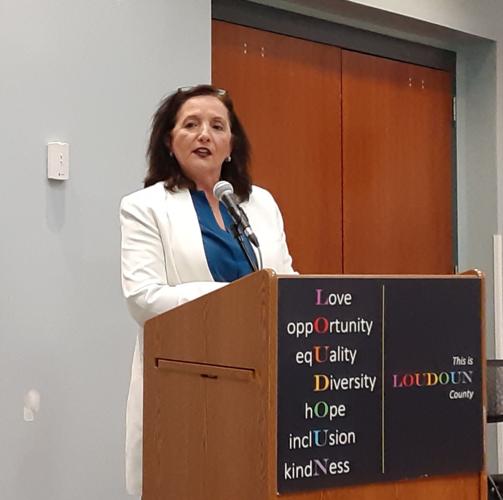 Loudoun Dems pitch platforms at candidates forum | News | loudountimes.com