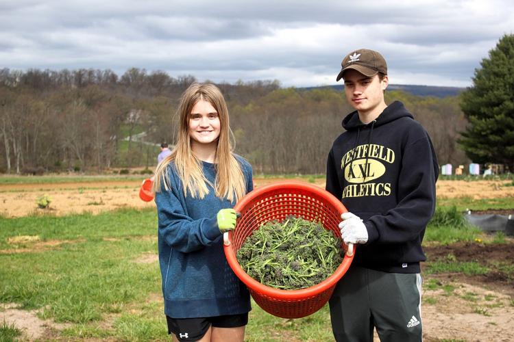 JK Community Farm sees growing demand from food pantries for locally ...