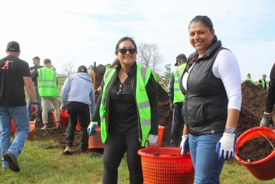 JK Community Farm expands pollinator gardens for bees | News ...