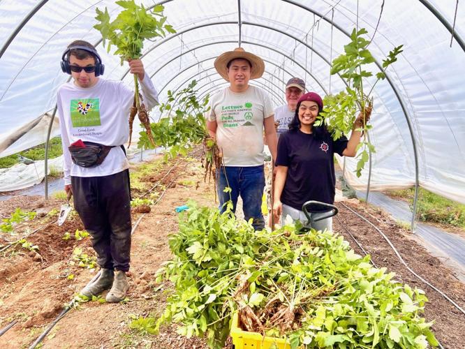 A Farm Less Ordinary to host bluegrass festival June 22 | Food ...