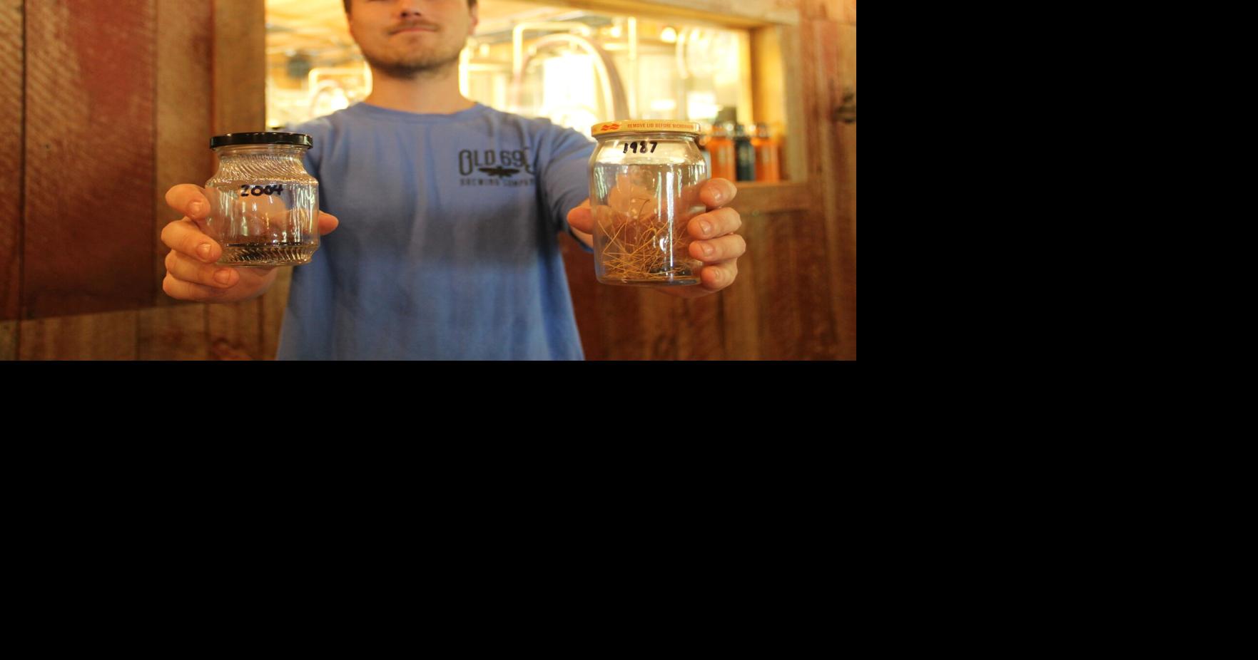 The kind of crunchy taco that will bug you; Loudoun prepares for cicada ...