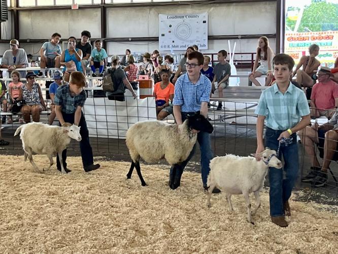 The Loudoun County Fair runs through Saturday | Entertainment ...