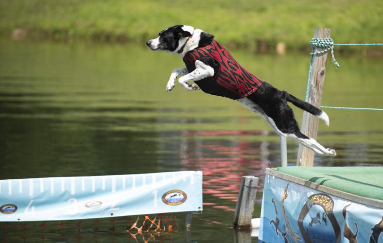 Photos: DockDogs make a splash with national qualifier event ...
