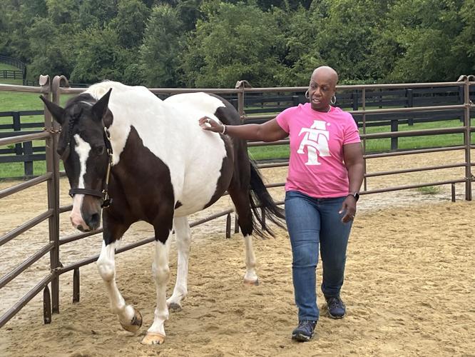 Breast cancer survivors find peace at equestrian therapy event at ...
