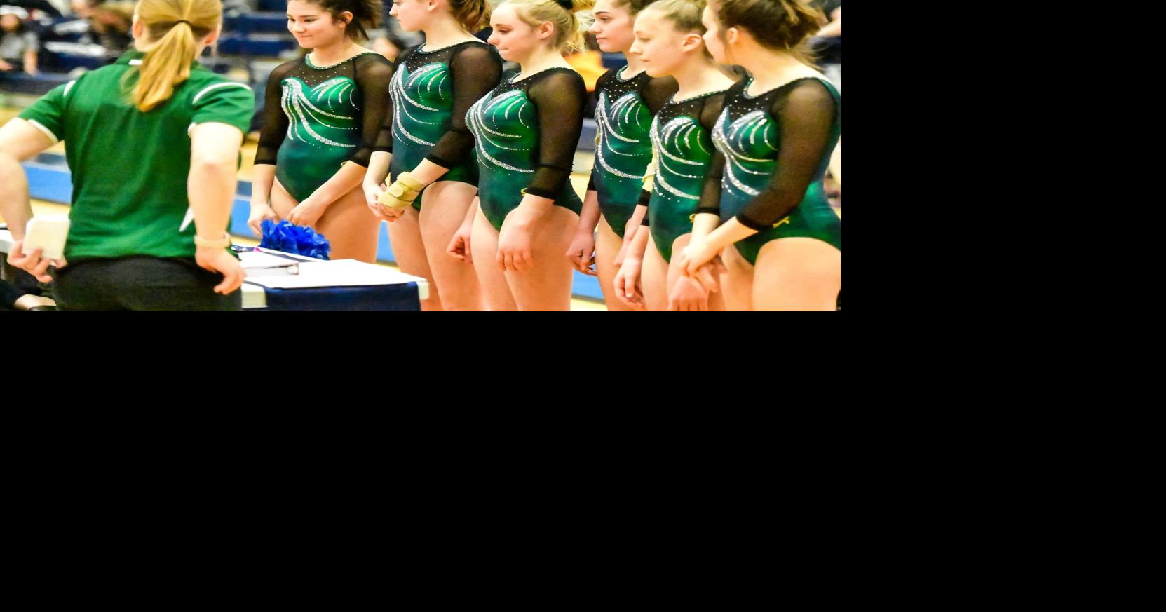 Vikings place first at Dulles District gymnastics meet | Sports ...