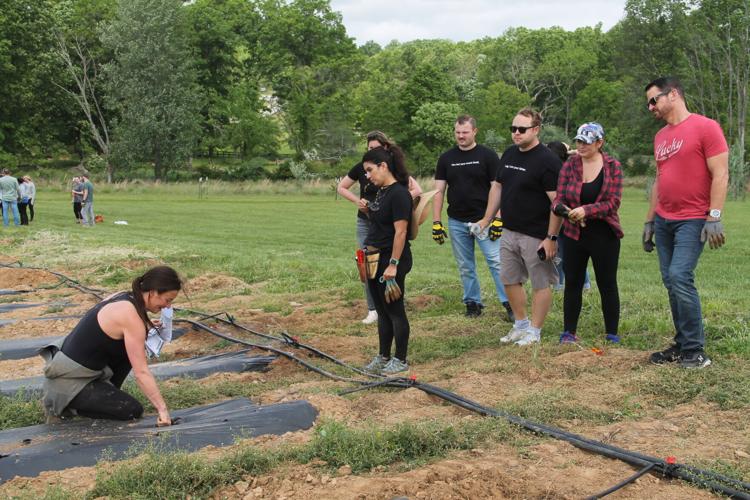 JK Community Farm readies for new growing season with the help of ...