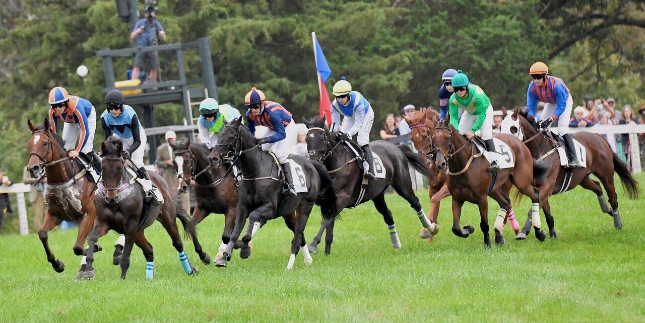 Tailgates, fancy hats and horse racing on tap for this weekend's ...