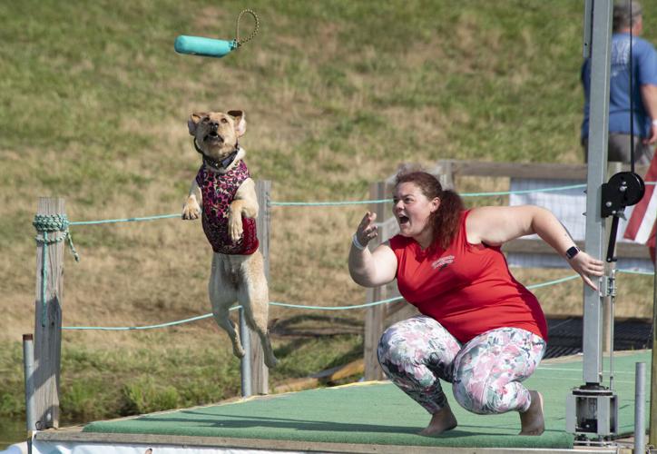 Photos: DockDogs make a splash with national qualifier event ...