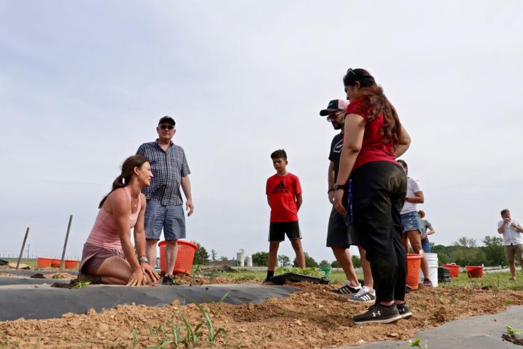 More than 18,000 seedlings planted during JK Farm's 'Plant-A-Thon ...