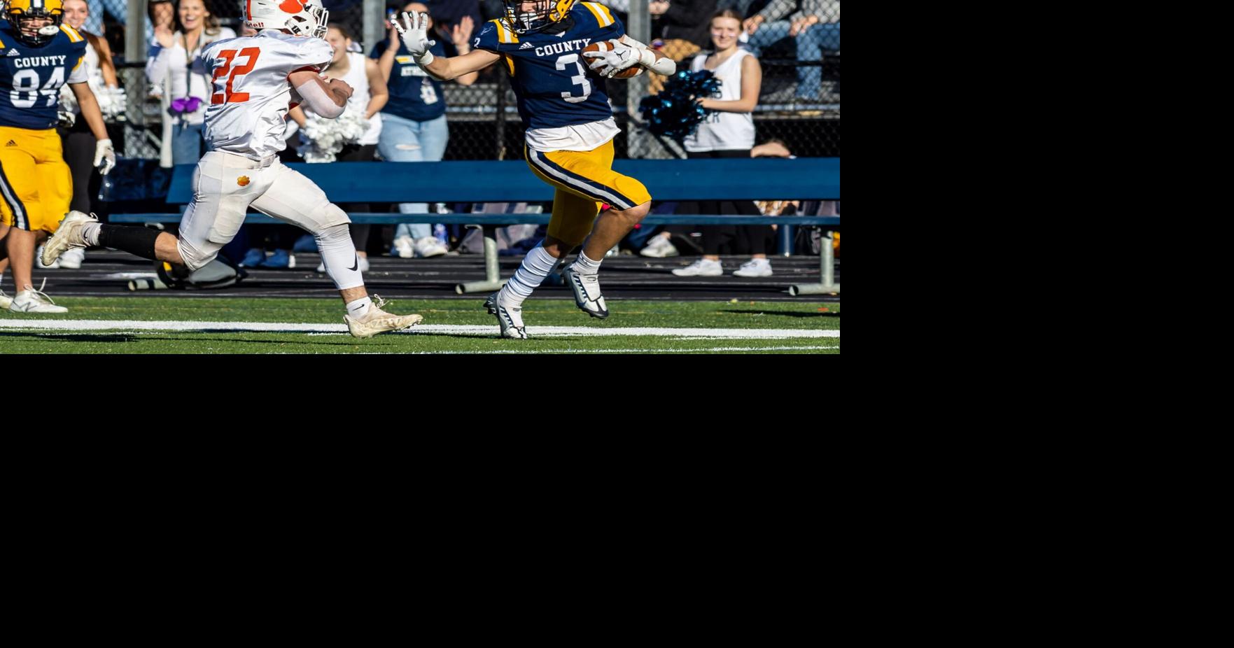 VHSL Class 4 all-state football team selections | Sports | loudountimes.com