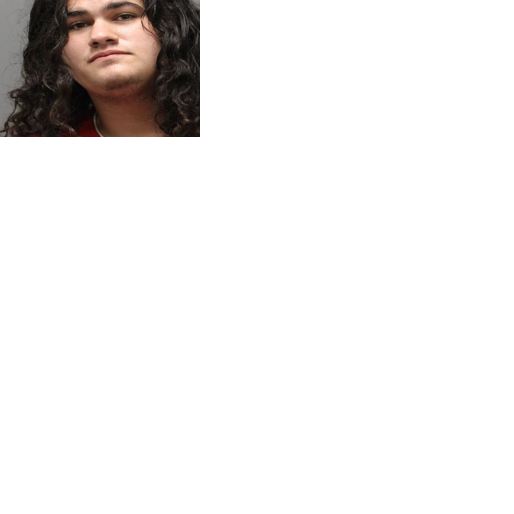 Sterling man gets year sentence for gun brandishing | News ...