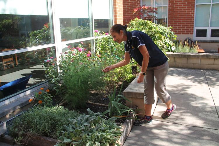 Students are learning and growing in Frederick Douglass' garden lab ...