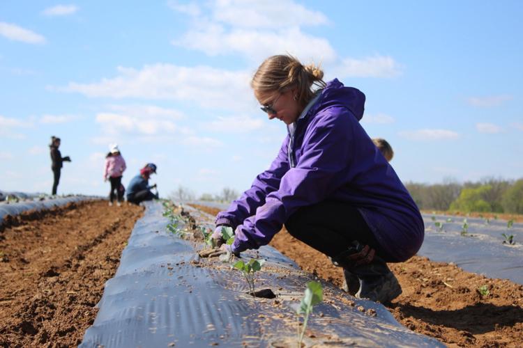 JK Community Farm sees growing demand from food pantries for locally ...