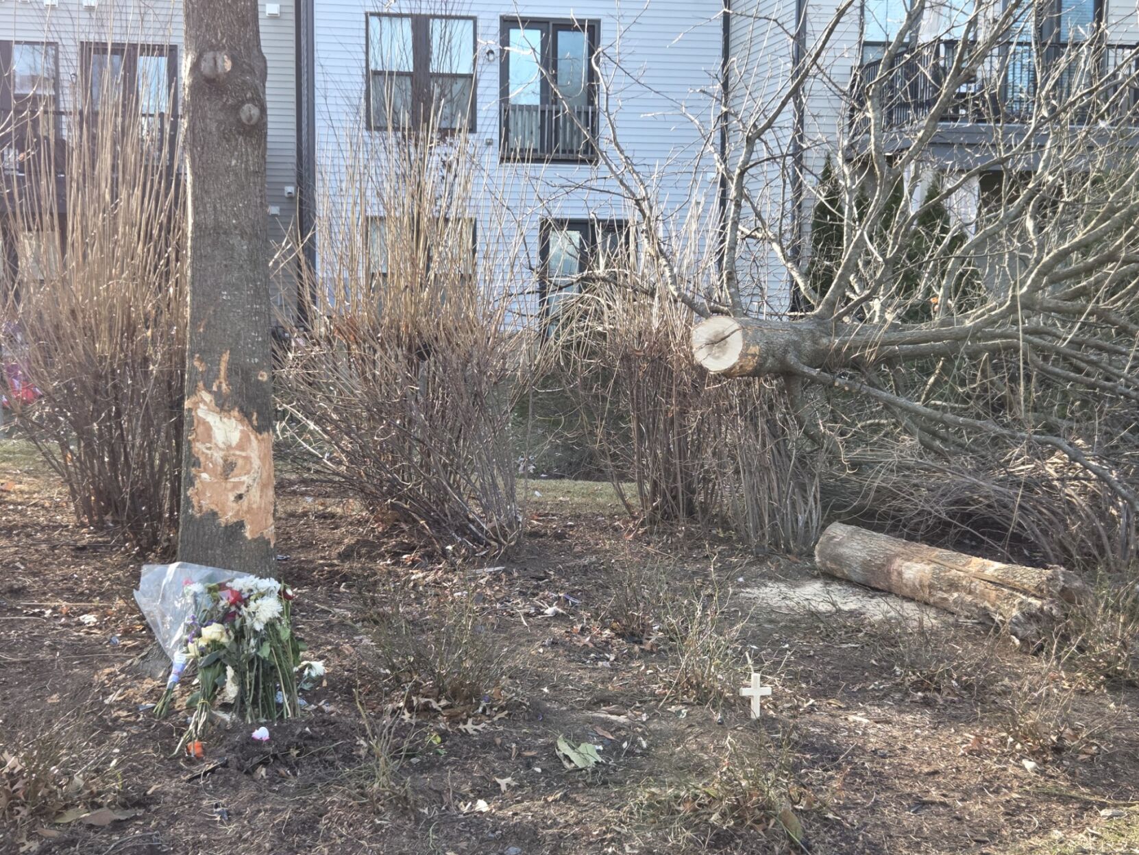 LCSO: Driver in fatal crash traveling more than 85 mph | Accidents ...