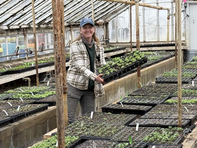 Lincoln's Abernethy & Spencer reopens with new owners and new vision ...