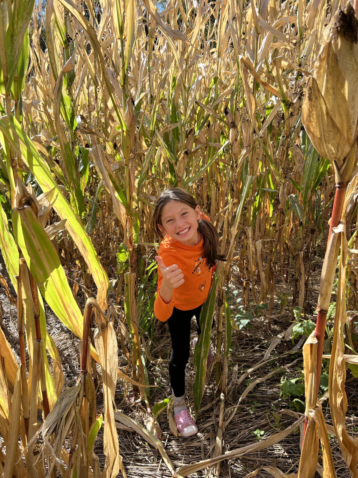 Loudoun Fall Farm Tour returns for 30th year Oct. 21 and 22 | News ...