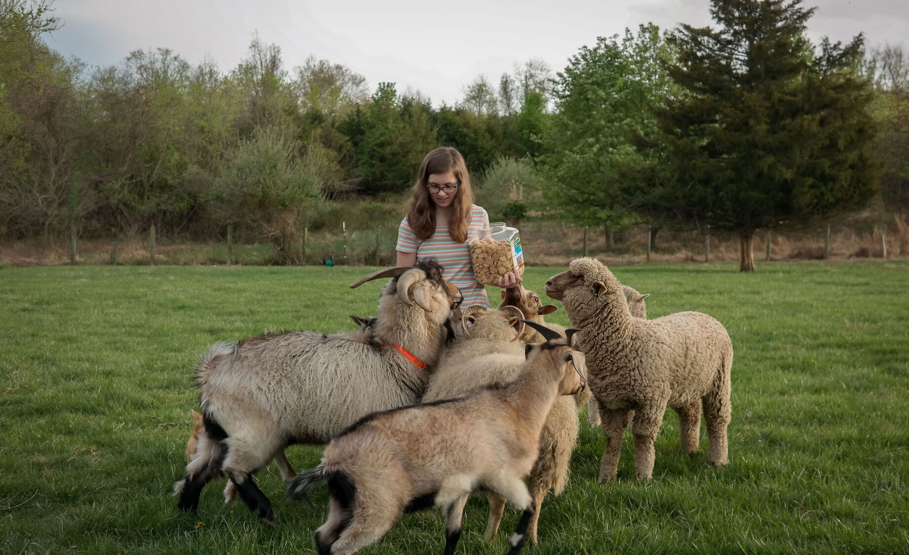 Loudoun Fall Farm Tour returns for 30th year Oct. 21 and 22 | News ...