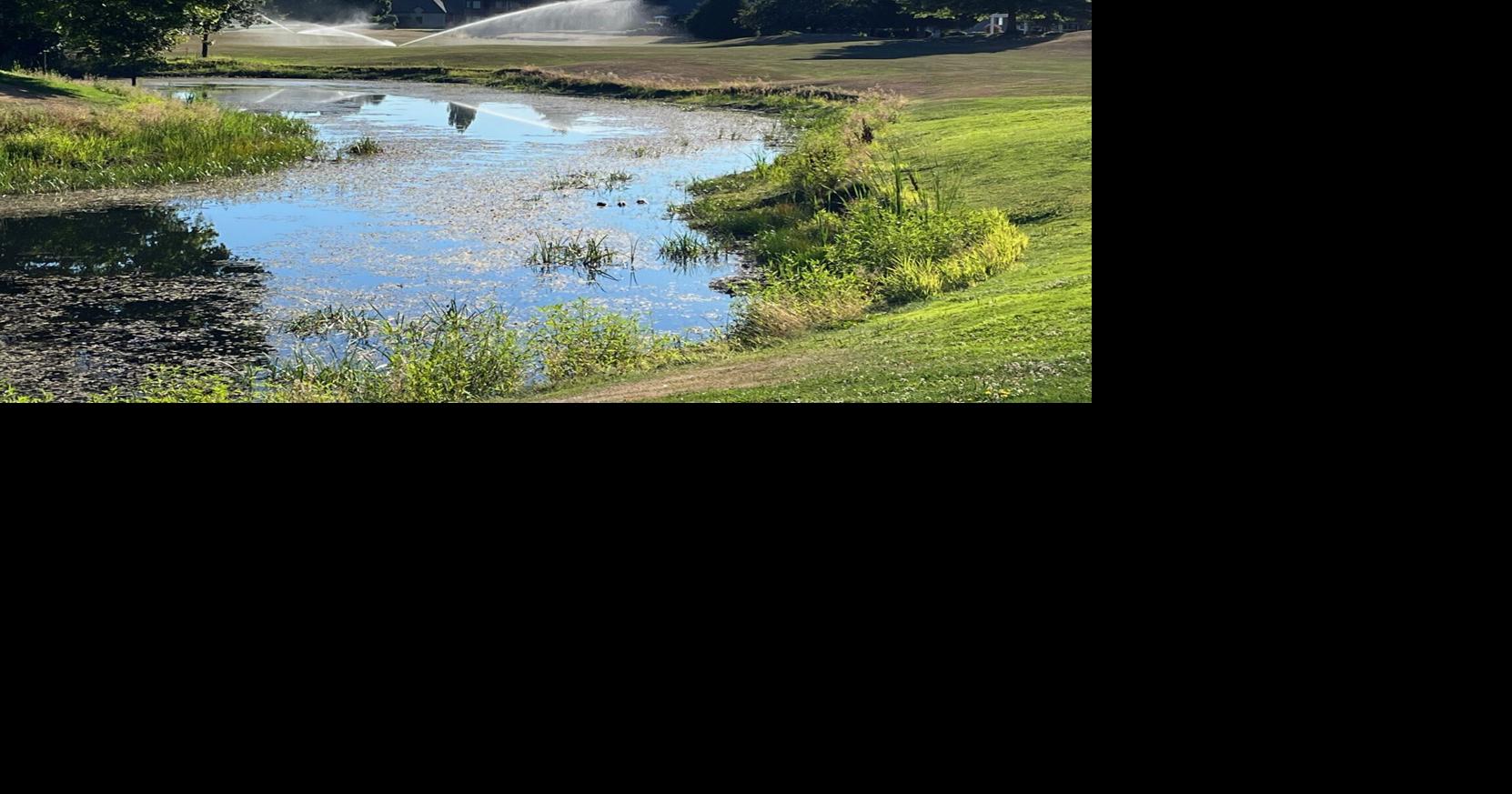 Homestead golf course trial delayed | News | lyndentribune.com