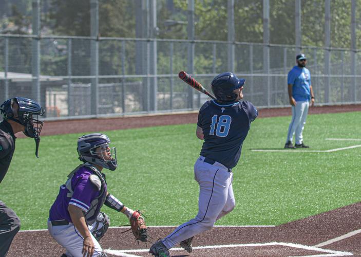Terpstra one-hitter, Johnson’s single powers LC into state playoffs ...