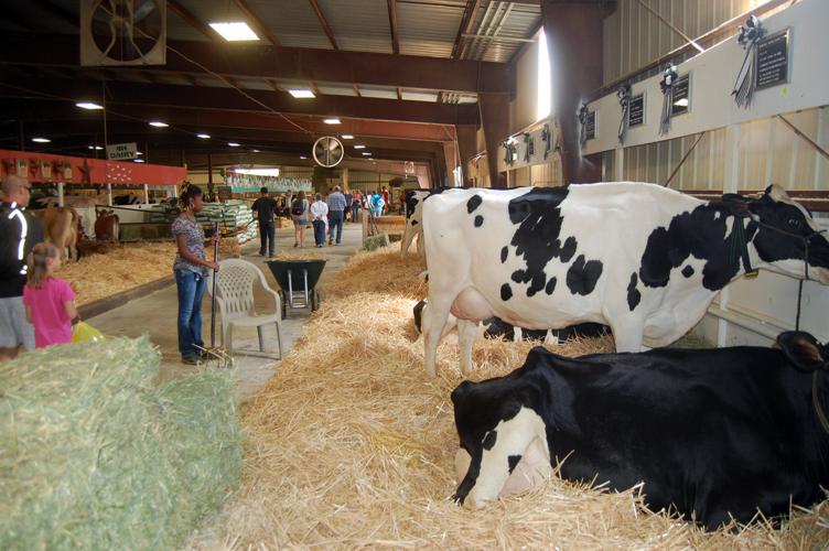 PHOTOS: Northwest Washington Fair | News | lyndentribune.com