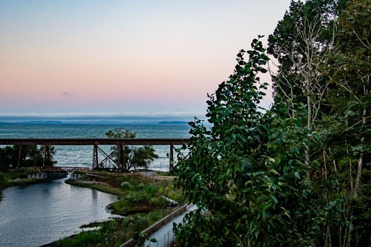 GALLERY: Discovering the hidden trail at Squalicum Beach | Sports ...