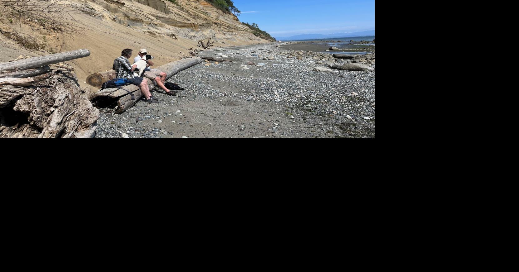 Play Whatcom: Lily Point Marine Park is well worth the Point Roberts ...