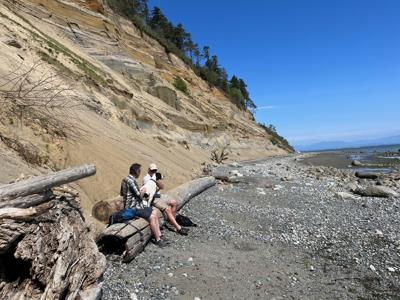 Play Whatcom: Lily Point Marine Park is well worth the Point Roberts ...
