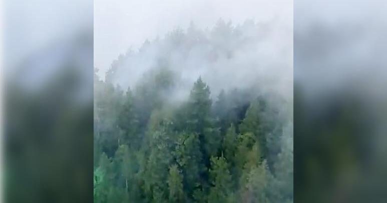 Lake Whatcom Fire now 90% contained | News | lyndentribune.com