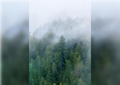 Lake Whatcom Fire now 90% contained | News | lyndentribune.com