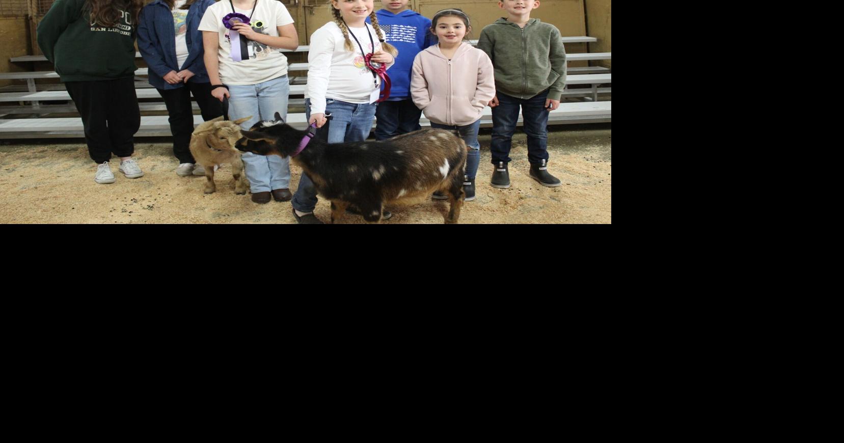 COUNTRY LIFE: Young 4-H’ers participate in Whatcom County Youth Fair ...