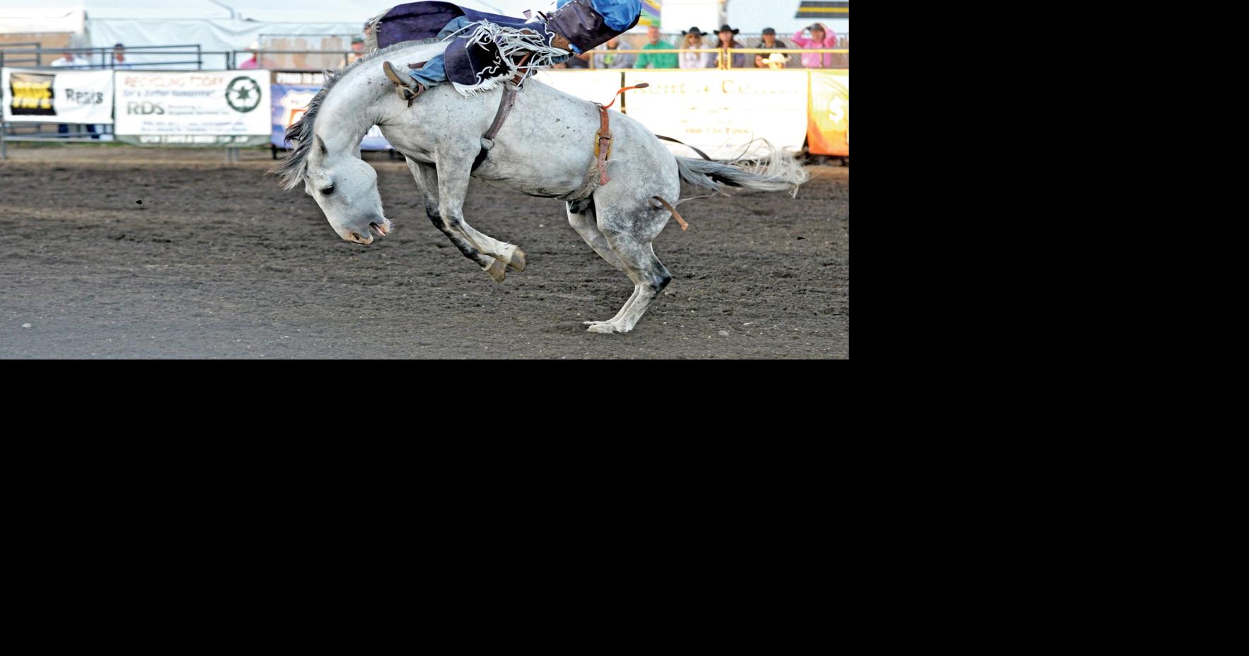 Lynden rodeo participants’ list released | Community | lyndentribune.com