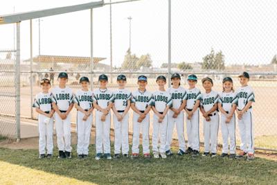 Lynden Lobos open registration | Sports | lyndentribune.com