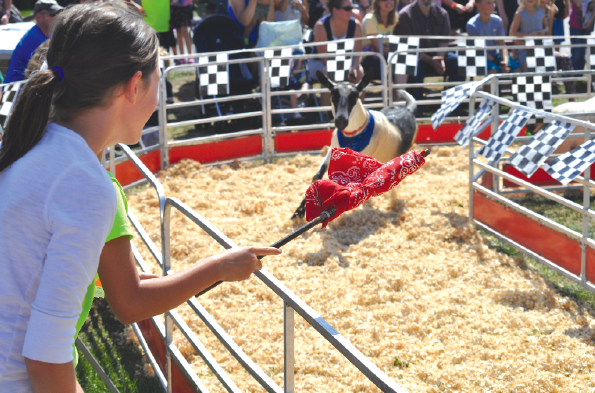 PHOTOS: Northwest Washington Fair | News | lyndentribune.com