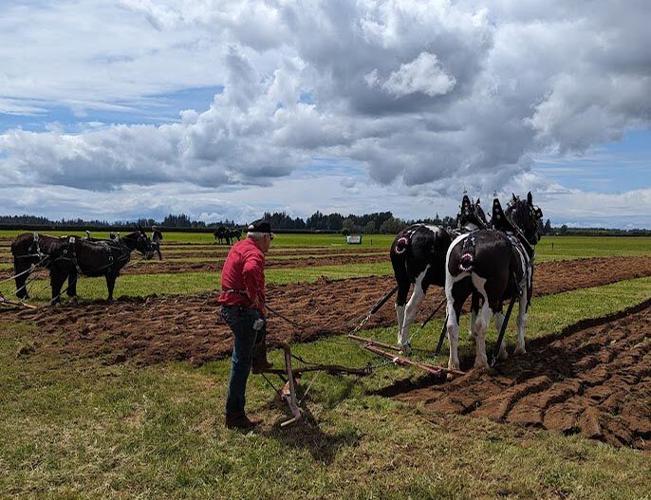 International Plowing Match announces winners | | lyndentribune.com
