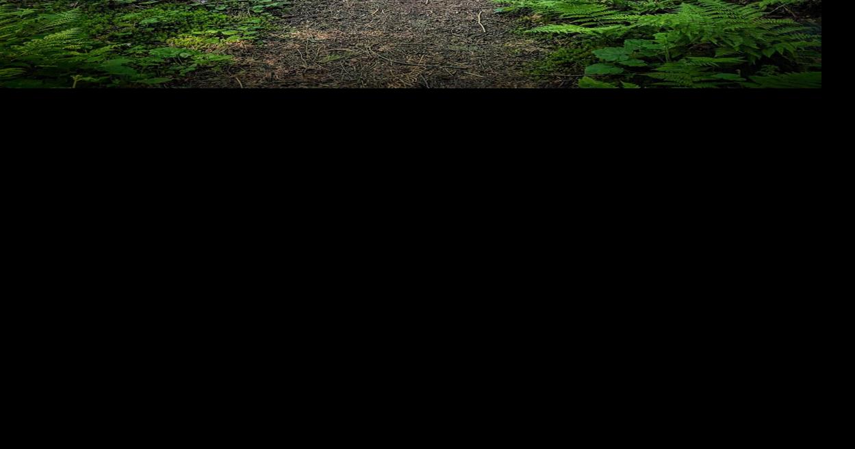 A plethora of hiking trails in Whatcom County | News | lyndentribune.com