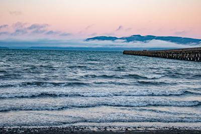 GALLERY: Discovering the hidden trail at Squalicum Beach | Sports ...