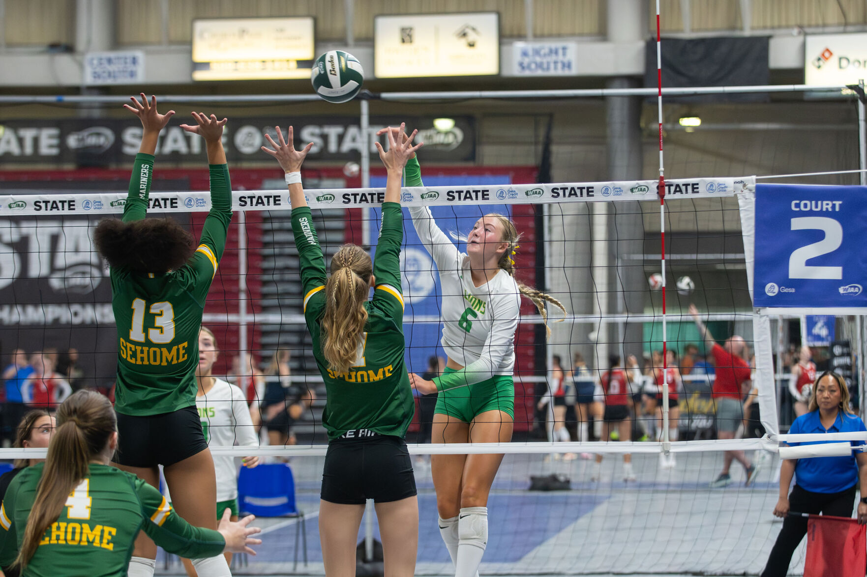 Lions win first-ever state volleyball championship | Sports ...
