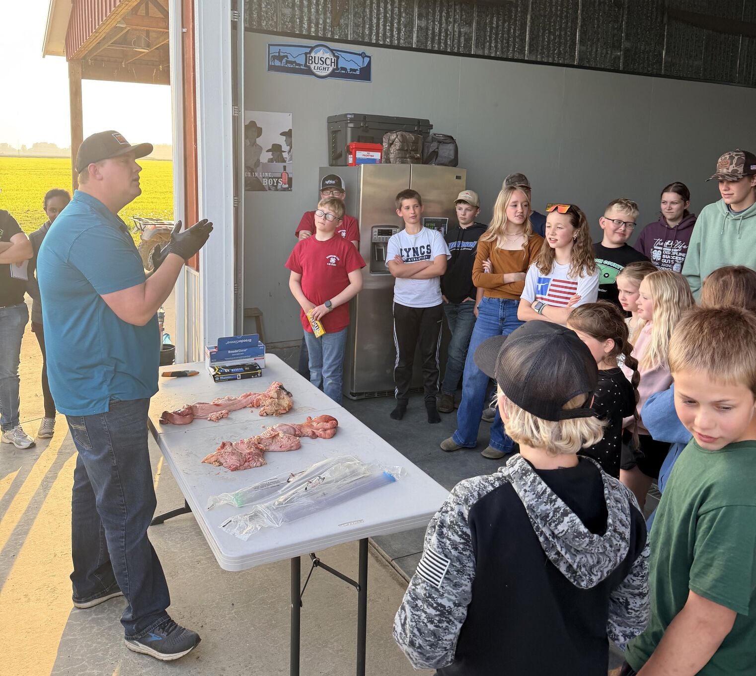 COUNTRY LIFE: Barnyard Kids learn about cattle | News | lyndentribune.com
