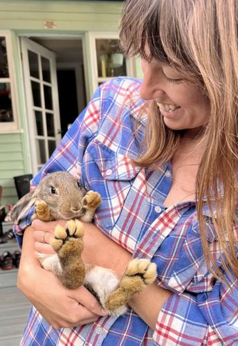 Rescued rabbits given new life in Whatcom | News | lyndentribune.com