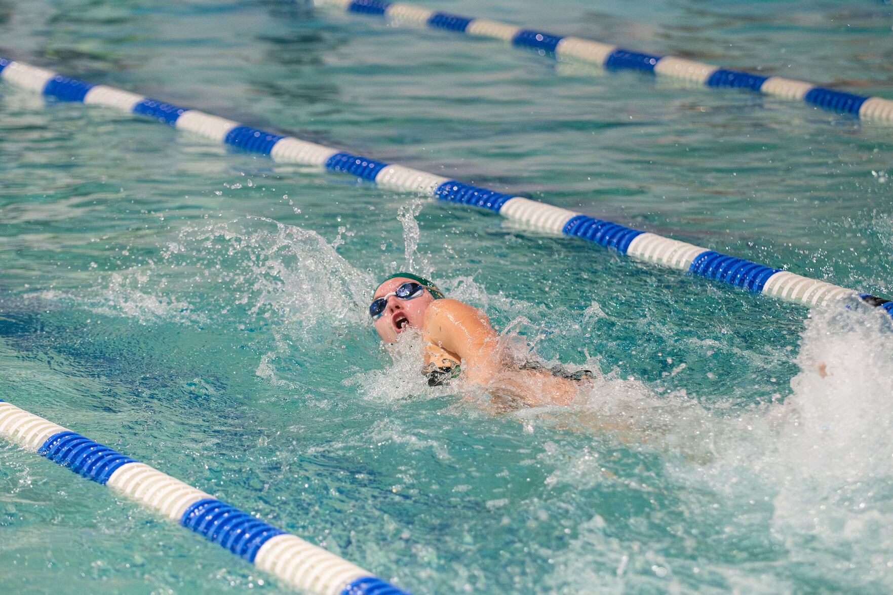 Lions swim season wraps at state | Sports | lyndentribune.com