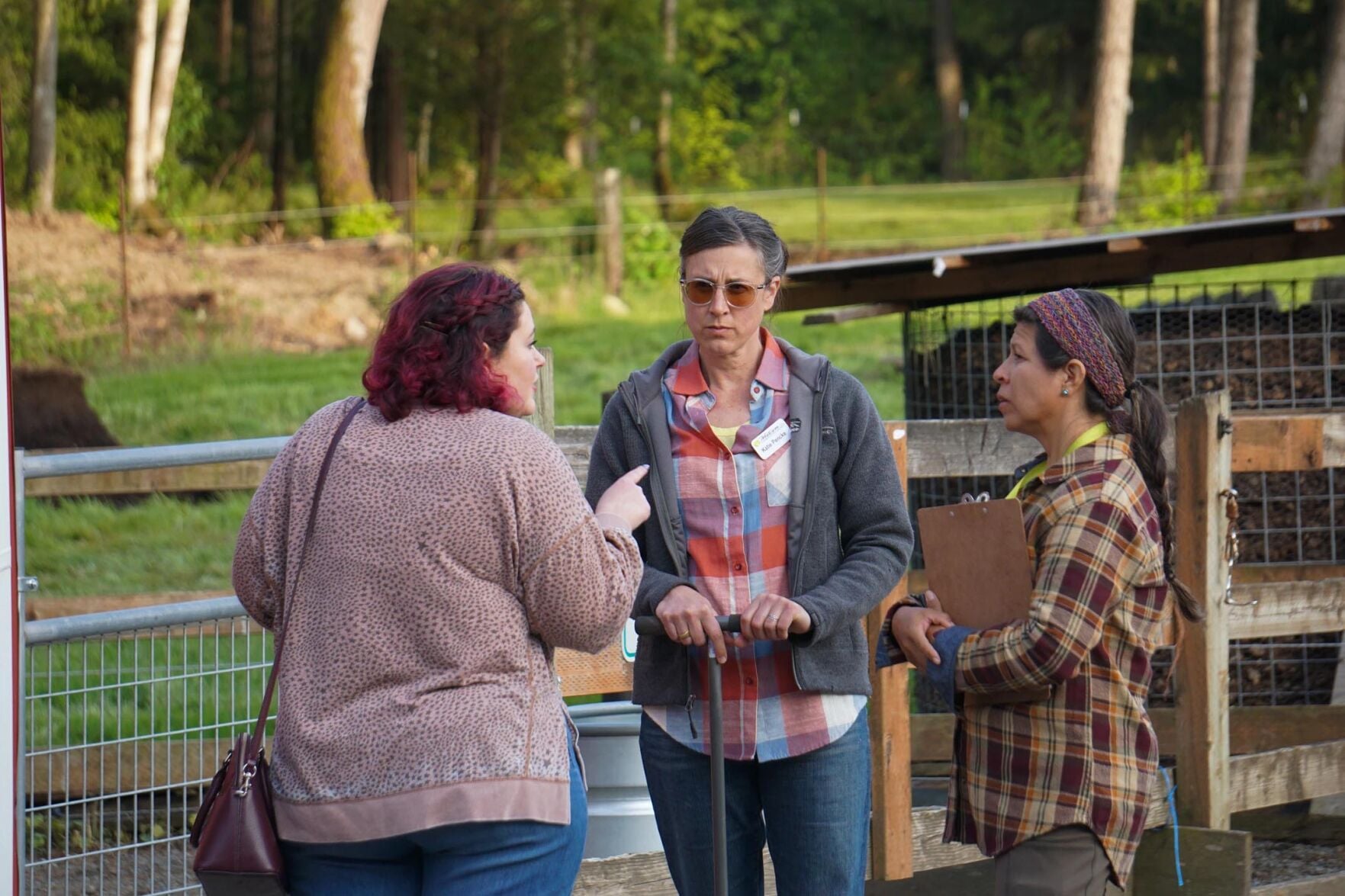 Rented plot of soil becomes productive farm business | News ...