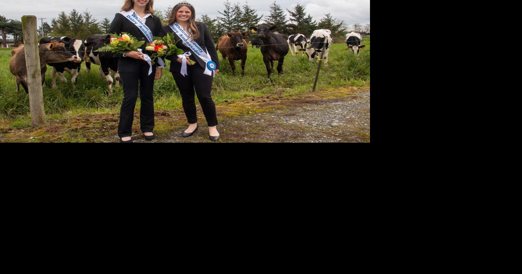 COUNTRY LIFE: Dairy ambassador recipes | News | lyndentribune.com