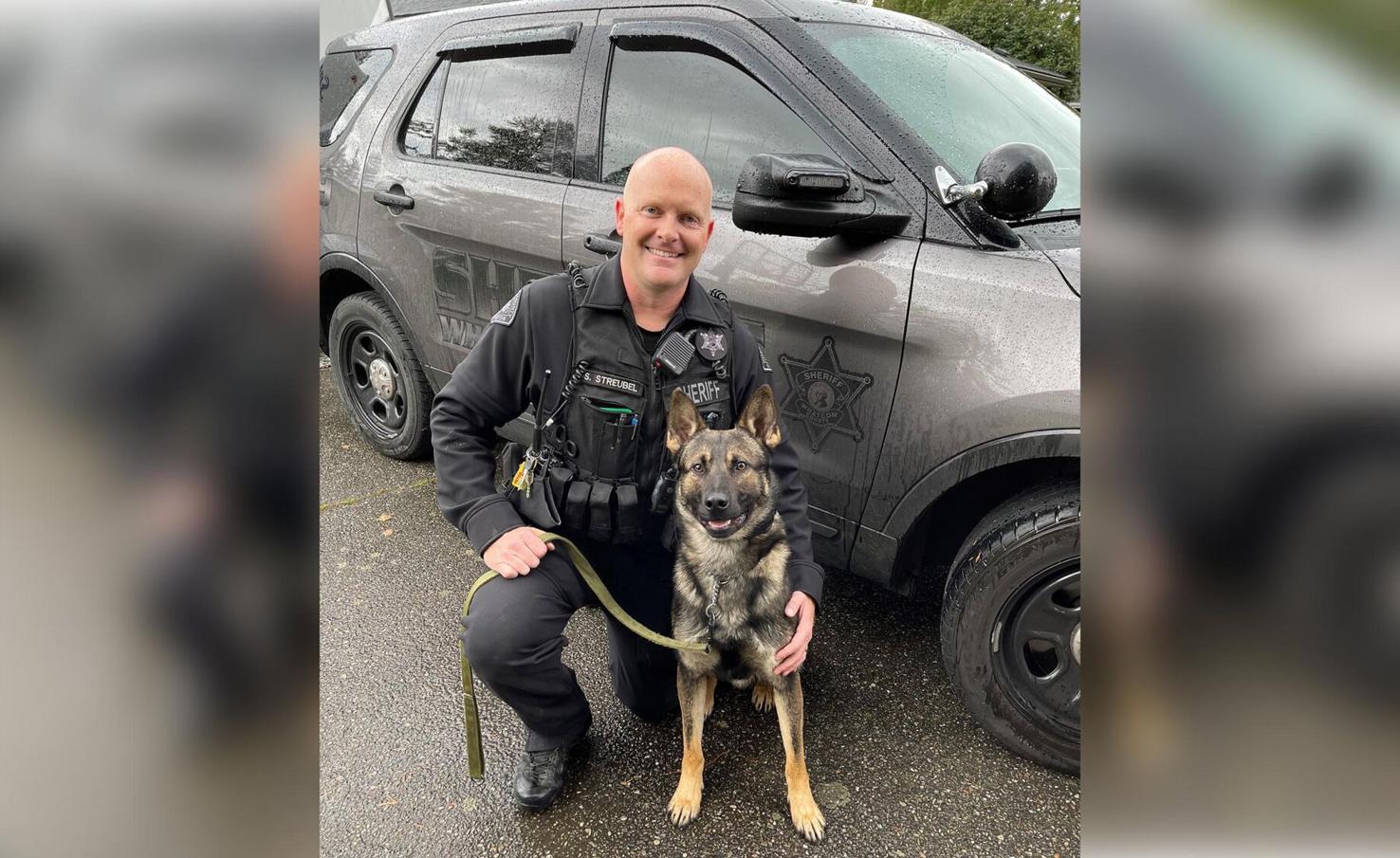 New K-9 officer at Whatcom County Sheriff’s Office | News | lyndentribune.com