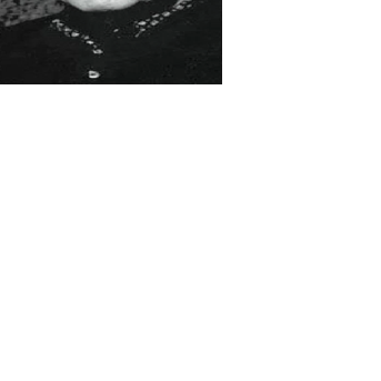 Donald Gary ‘Don’ Weeda | Obituaries | lyndentribune.com
