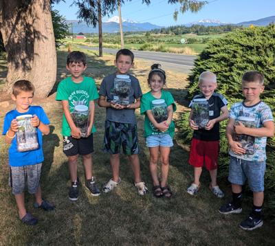 COUNTRY LIFE: Barn Buddies take prominent role at NWW Fair (with photo ...