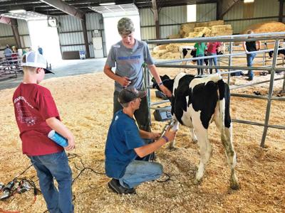 Fair boosts Lynden economy | News | lyndentribune.com