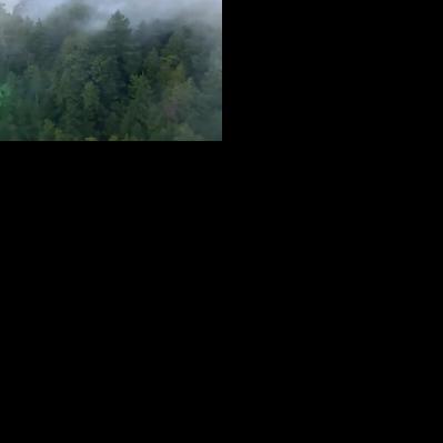 45-acre Lake Whatcom Fire uncontained | News | lyndentribune.com