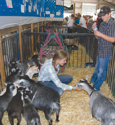 PHOTOS: Northwest Washington Fair | News | lyndentribune.com